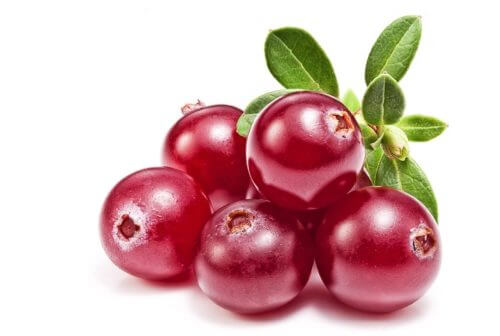 Heilpflanze Preiselbeere » gesund.co.at