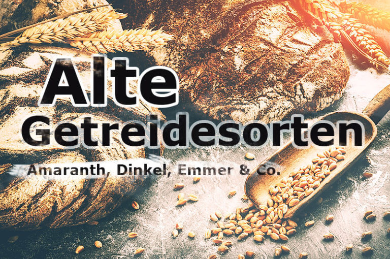 Alte Getreidesorten » gesund.co.at