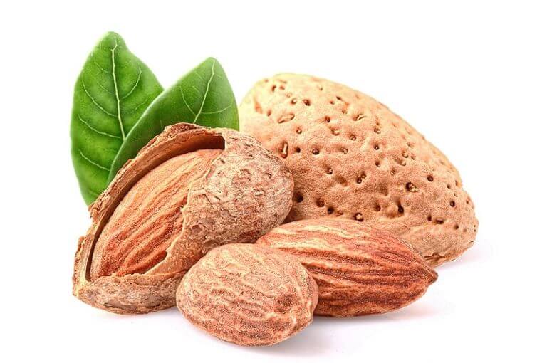 Die Mandel - das gesunde Multitalent » gesund.co.at