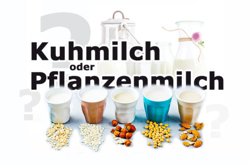 Kuhmilch oder Pflanzenmilch: Wie gut sind Milchersatzprodukte? » gesund ...