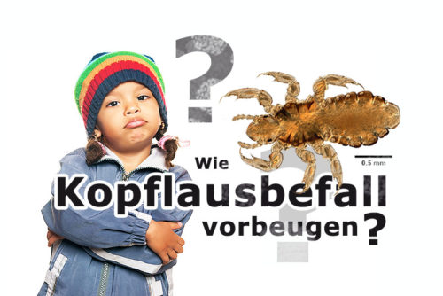Lässt sich einem Befall mit Läusen vorbeugen? » gesund.co.at