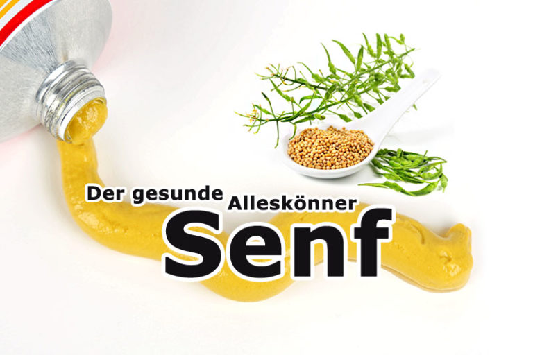 Senf - der gesunde Alleskönner » gesund.co.at